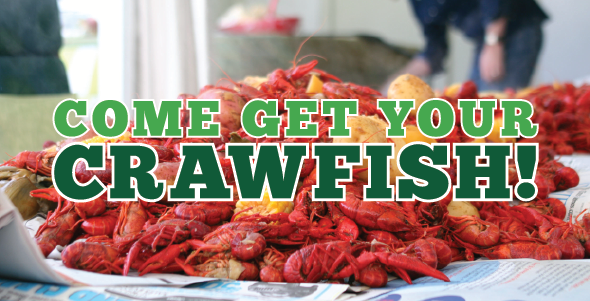 Annual Crawfish Boil – Sharkys Raleigh